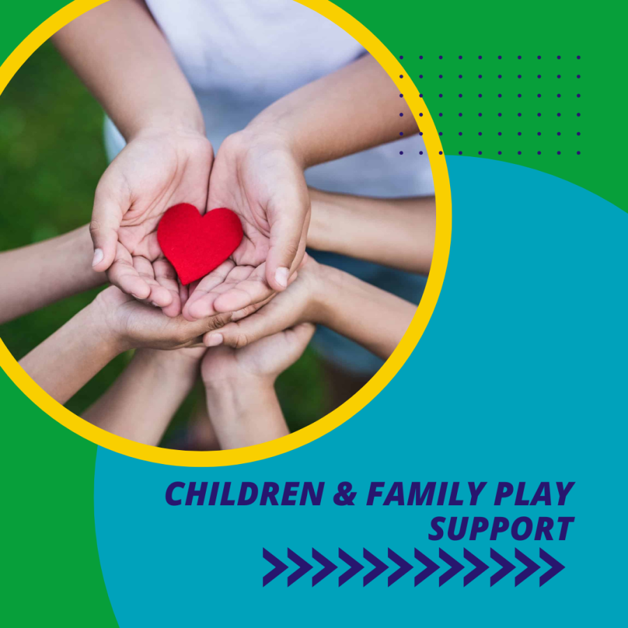 Bath Area Play Project - Services